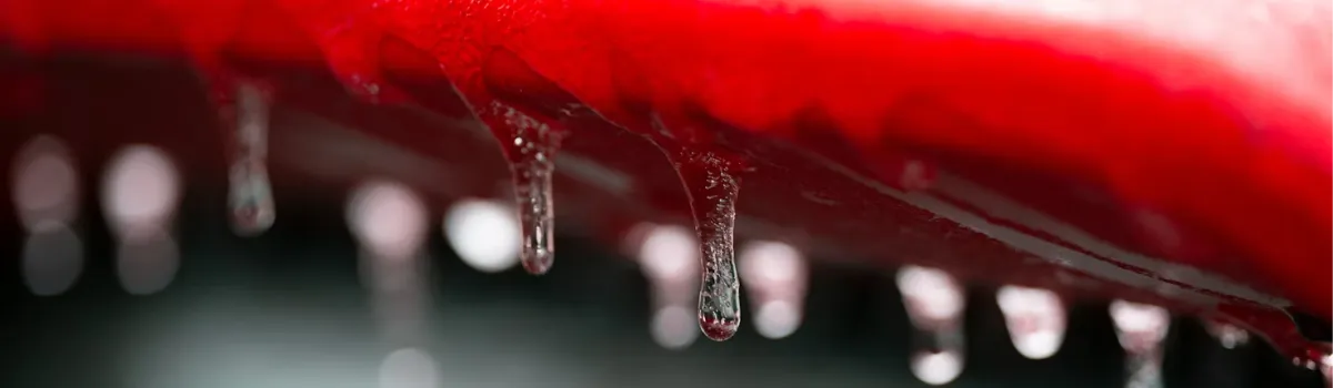 Why Car Batteries Fail in Cold Weather (and How to Prevent It) - Alpha ...